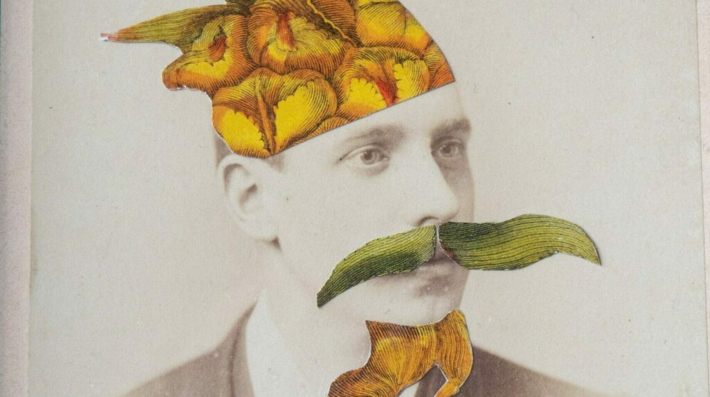 Pun Intended: A Look at Pun Examples in Literature | Writers.com