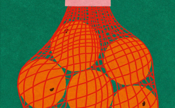 Finding Confidence in the Braided Essay: A Craft and Empowerment ...