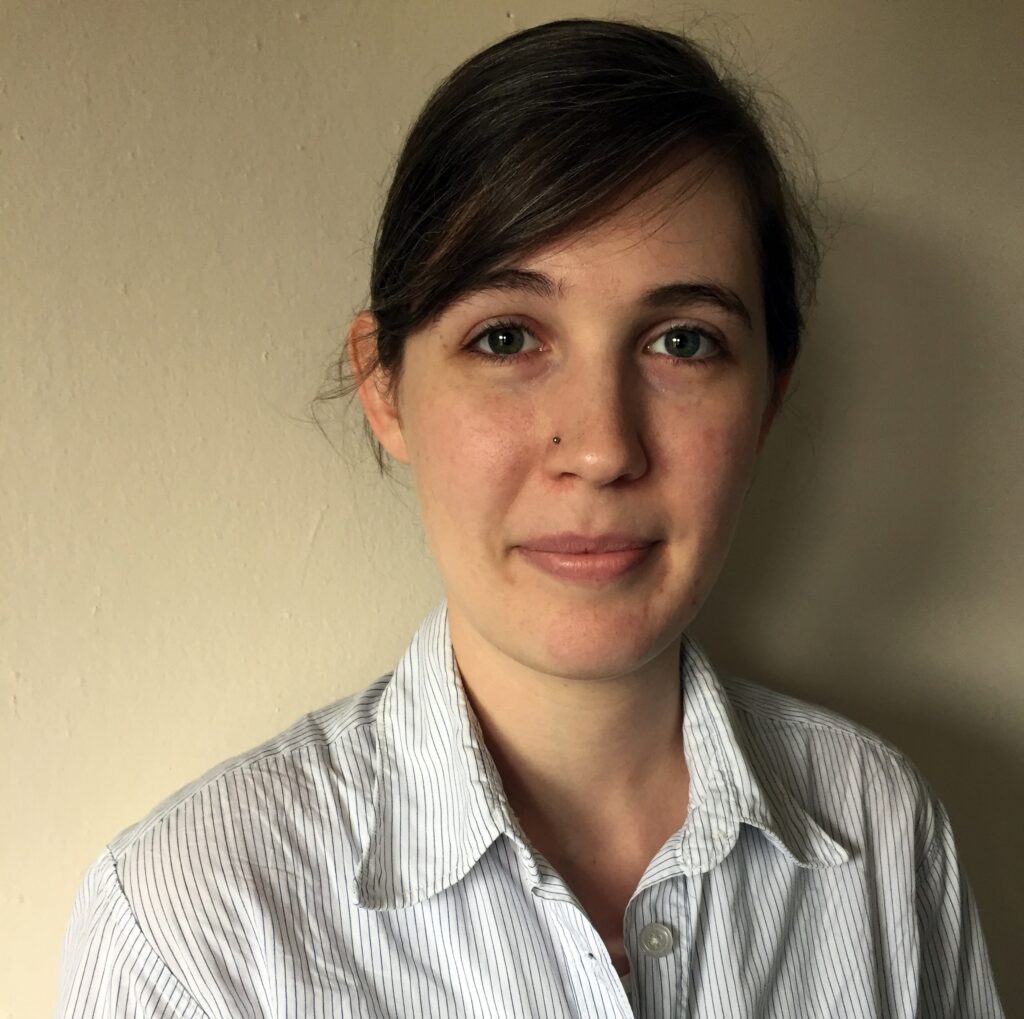 The Successful Novel: Everything You Need to Write, Revise, and Publish ...