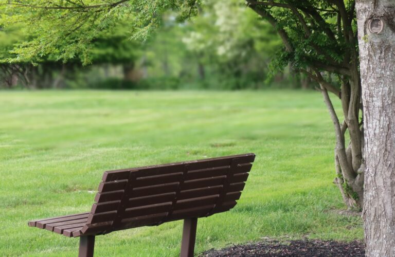 Online Creative Nonfiction Writing Courses | Writers.com