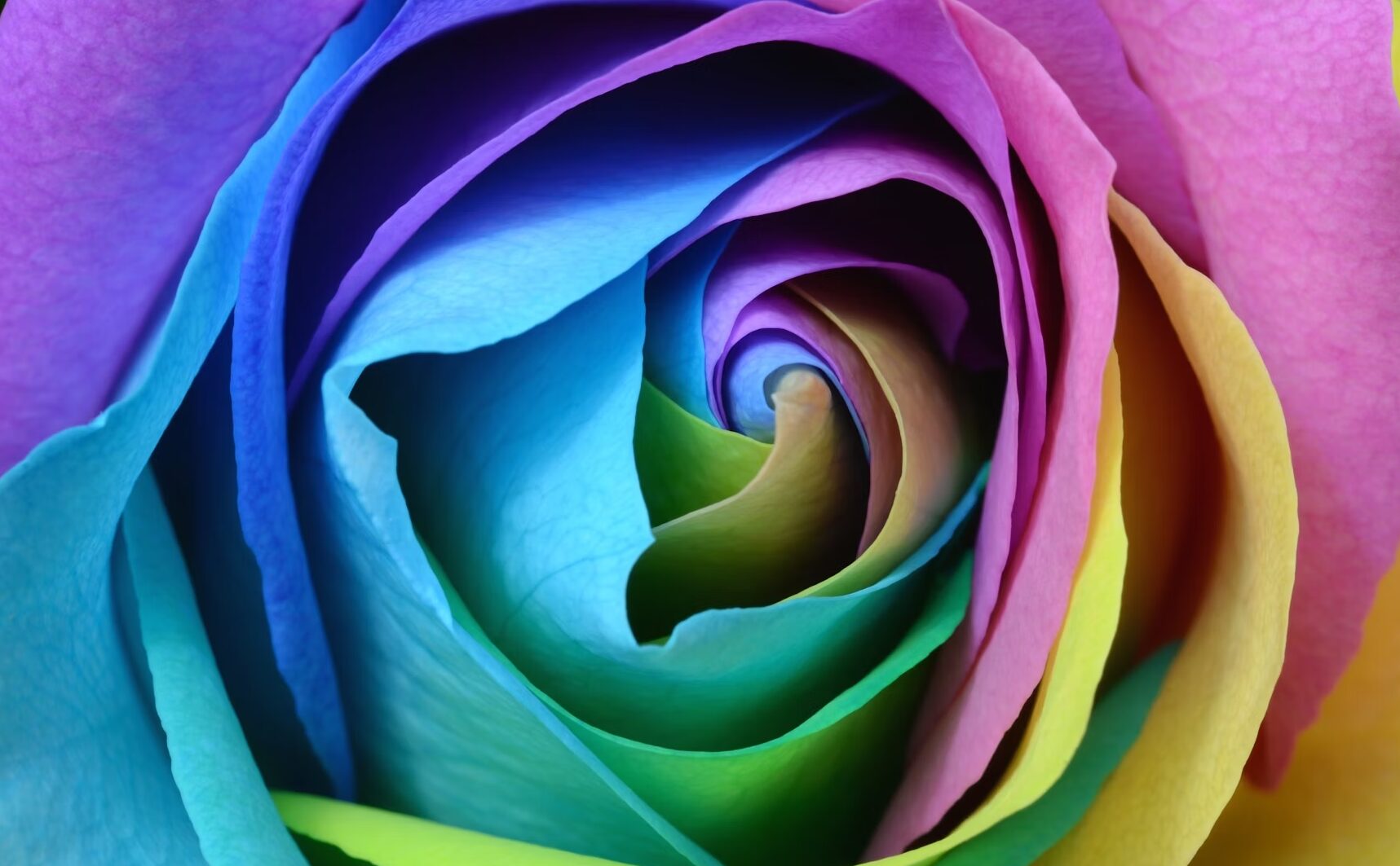 These Fragments: From Journal Pages to Personal Essays | Writers.com