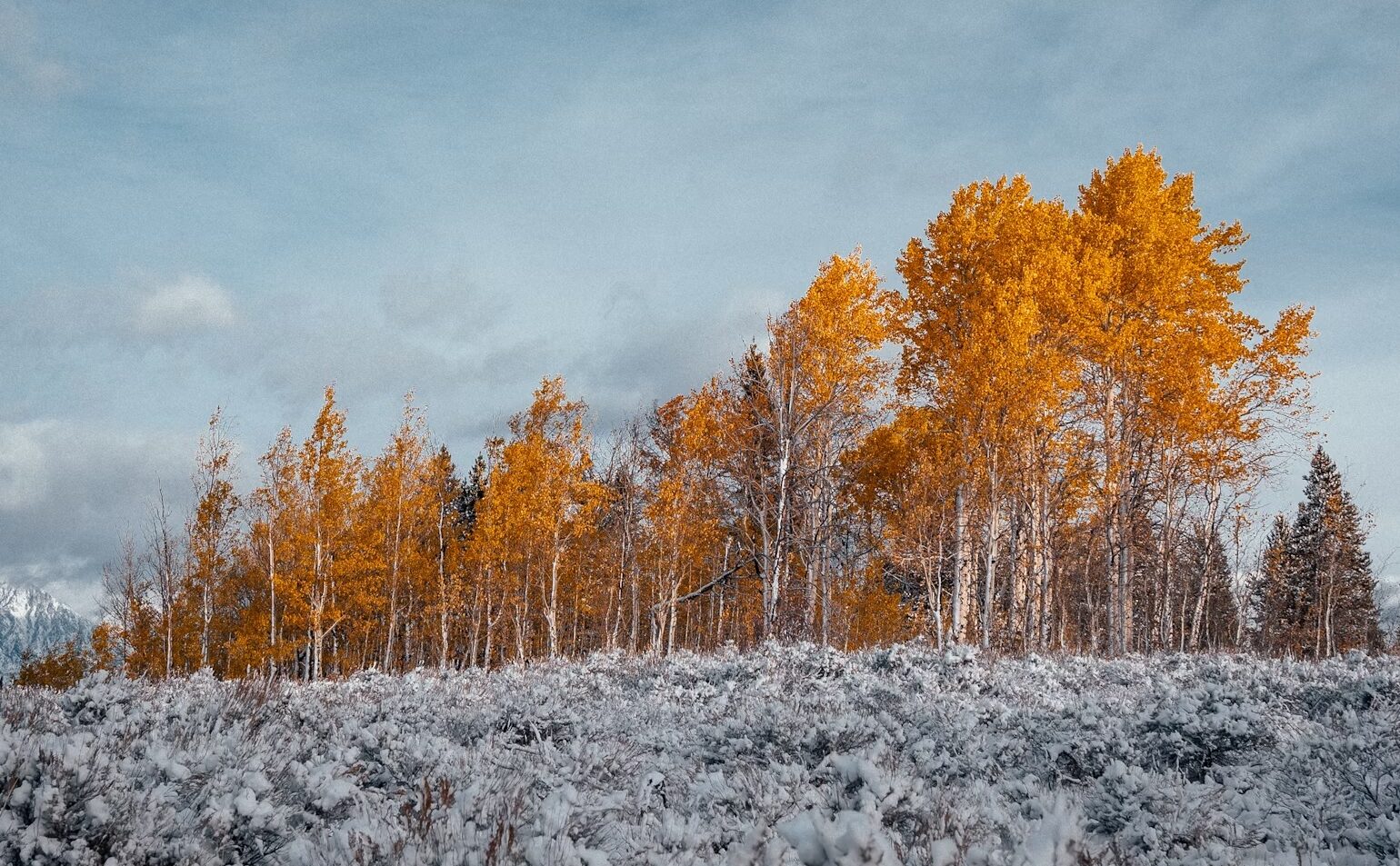 Nature's Muse: Finding Inspiration through the Changing Seasons ...