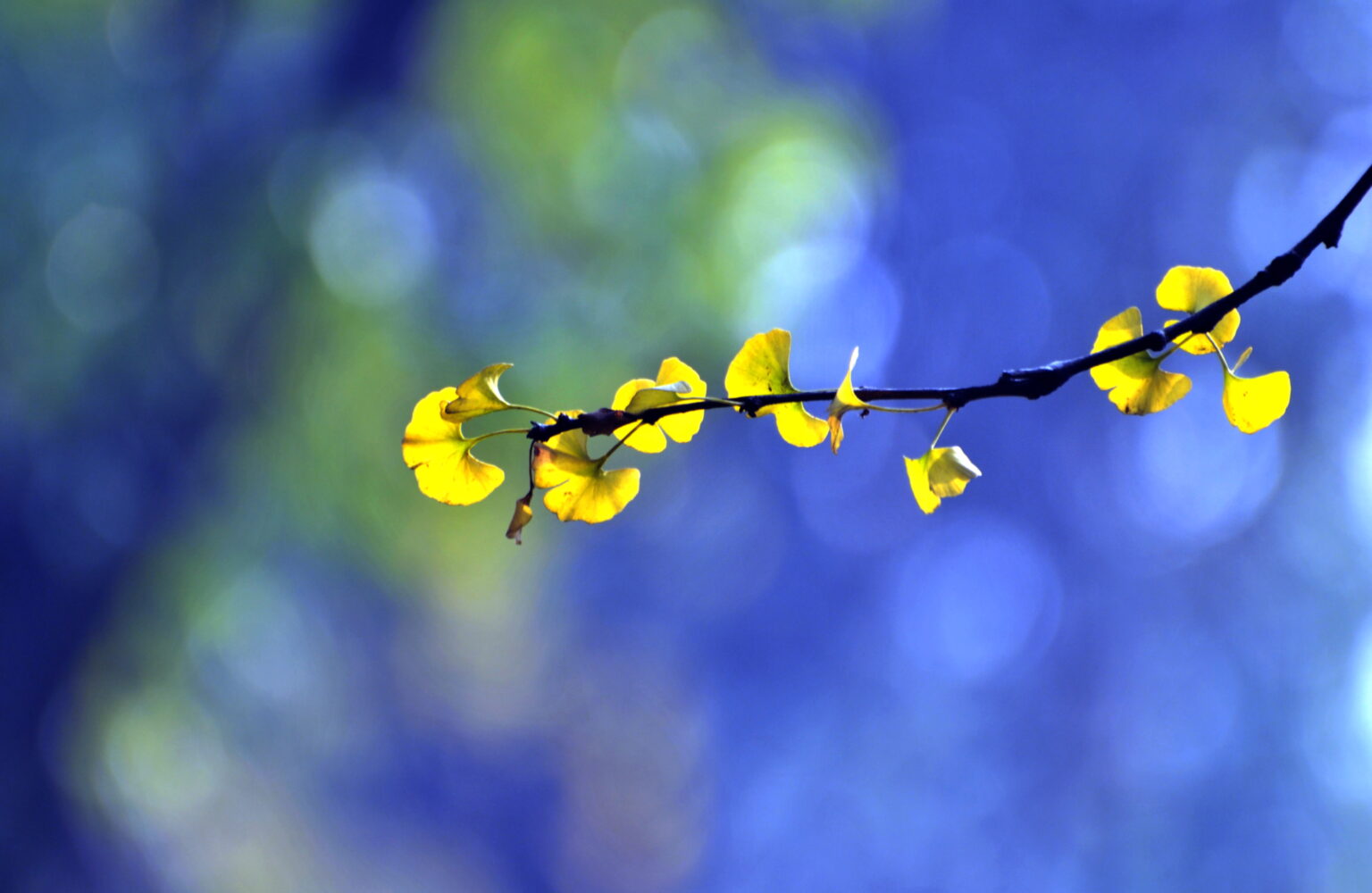 Sacred Vision: Writing Spiritual Poetry | Writers.com