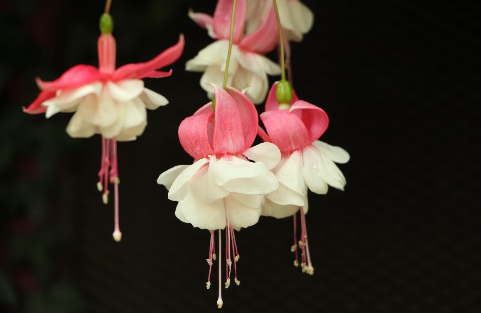 Pen & Pictures: Writing for Photographers | Writers.com