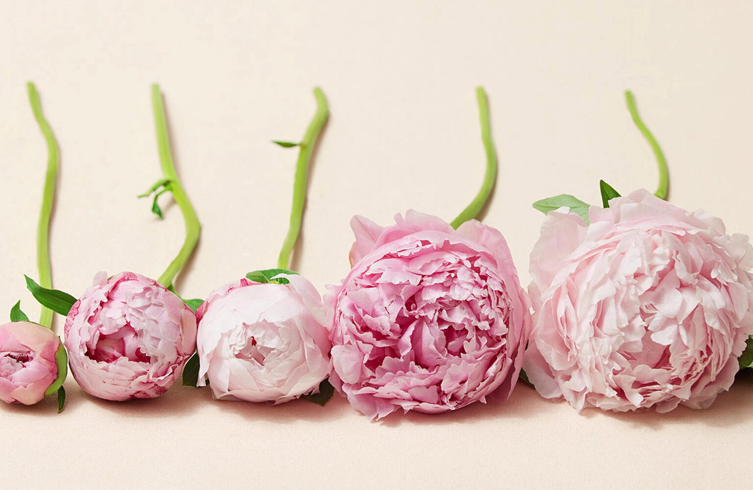 Poem Revision Intensive for Intermediate to Advanced Poets | Writers.com