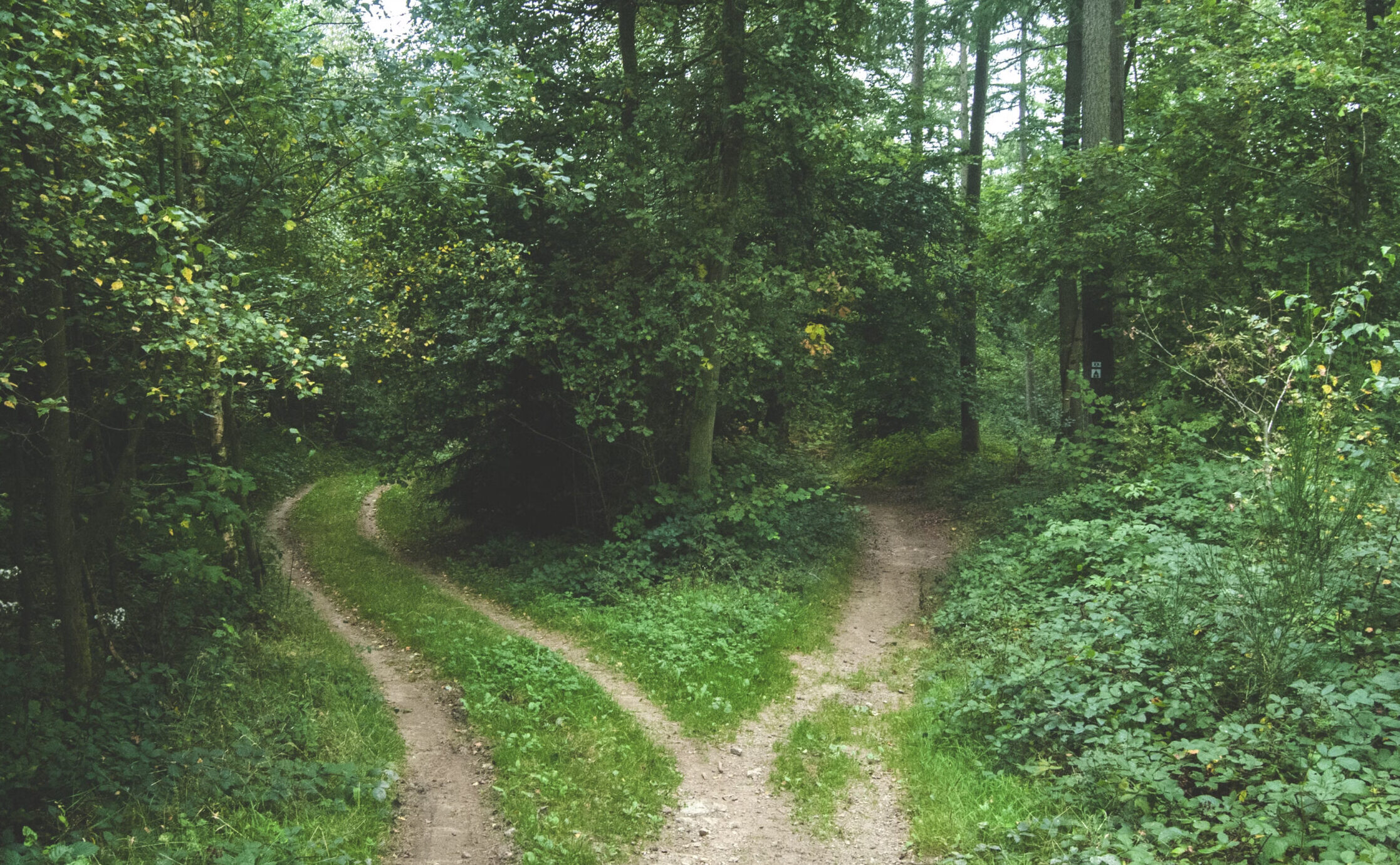 Roads to Revelation: Write 6 Essays in 6 Weeks | Writers.com